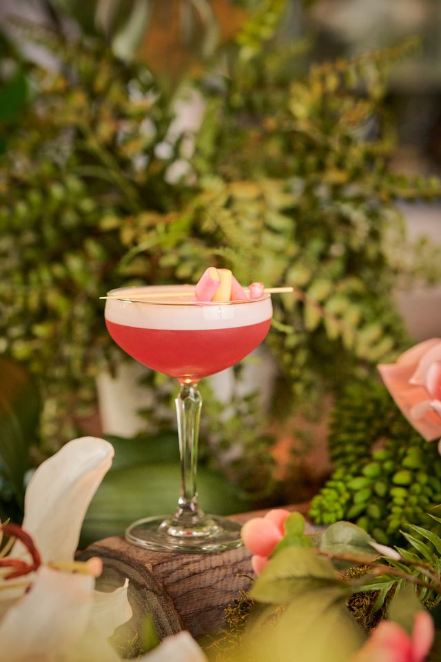 Drinks - Cocktails - Moskito